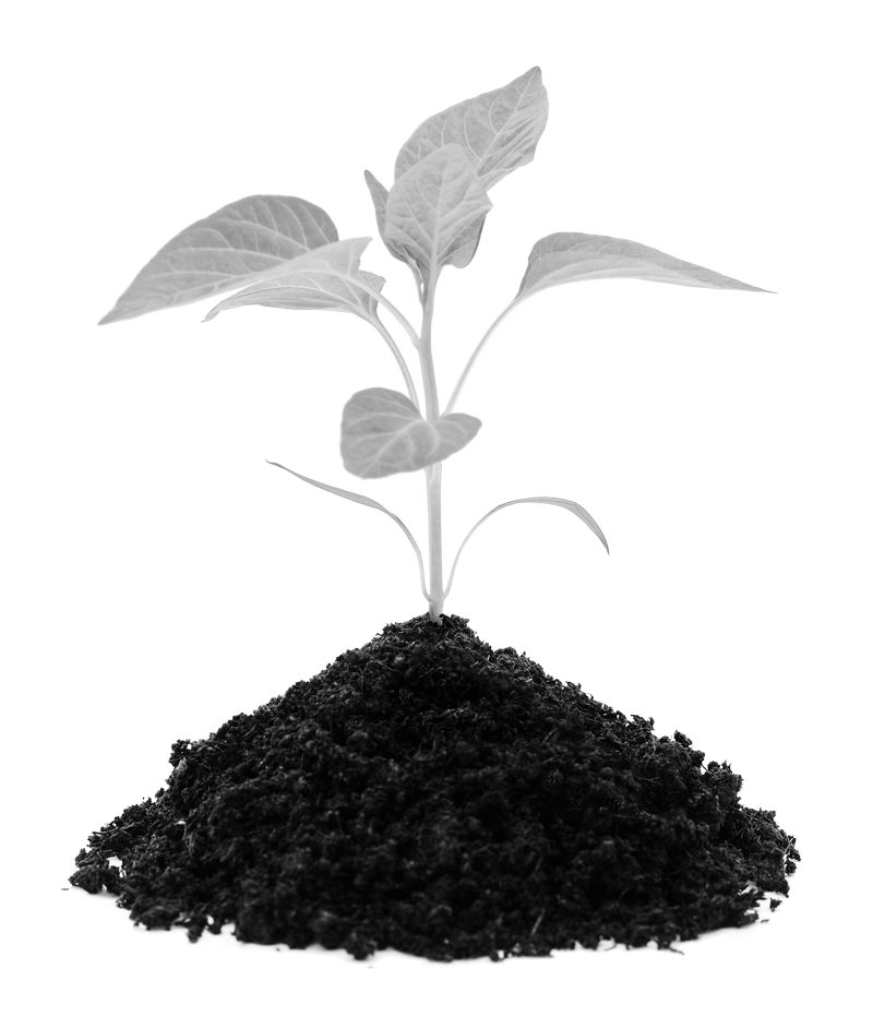 Yara International - SAP YLで将来を見据えた物流プロセスを実現 | Westernacher Consulting