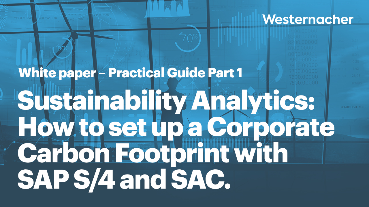 Sustainability Analytics: How to set up a carbon footprint.
