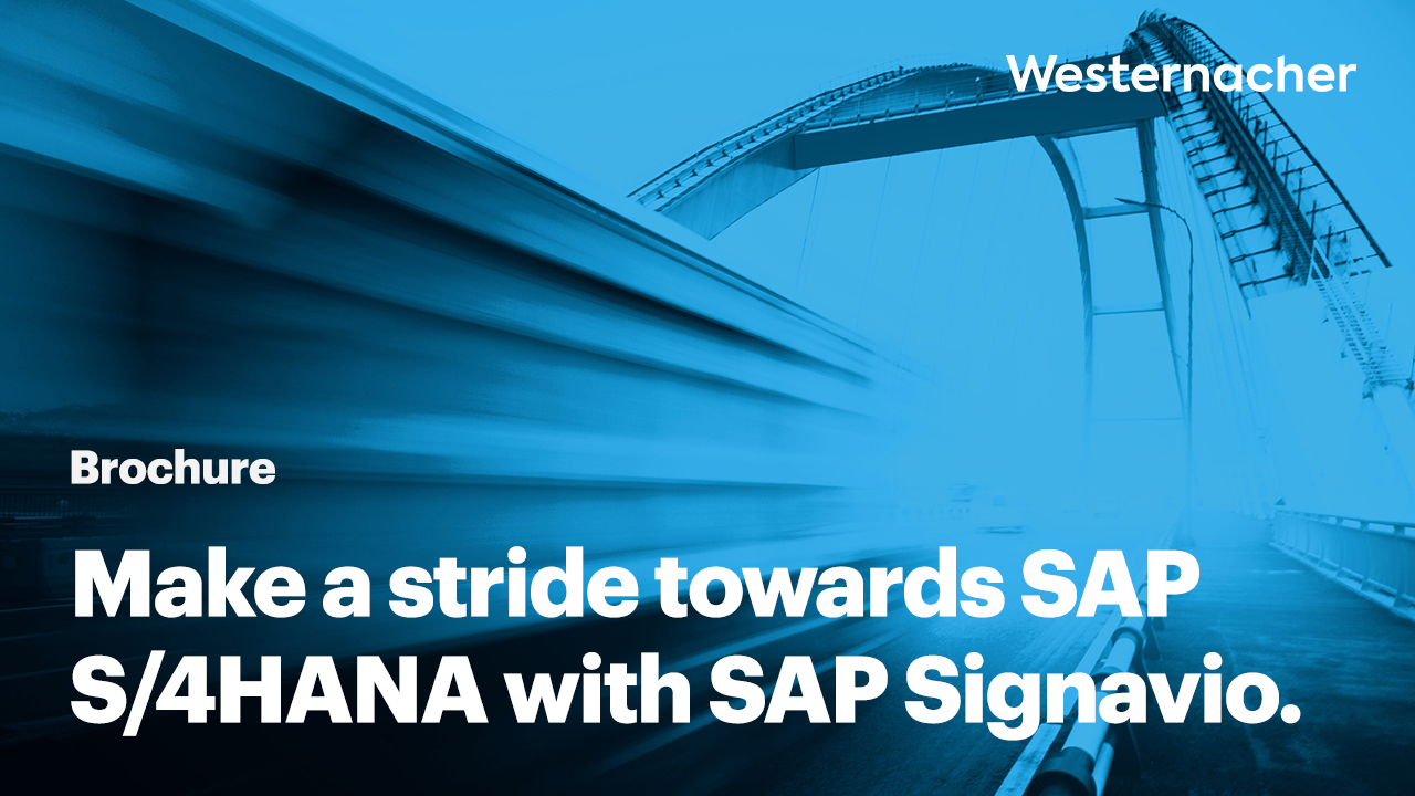 Make a stride towards SAP S/4HANA with SAP Signavio.