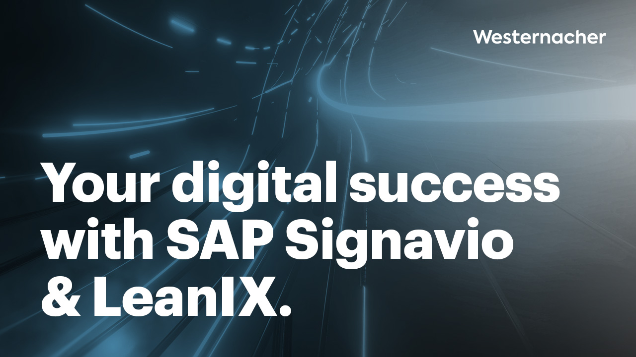 SAP Signavio and LeanIX: Maximizing synergy for your business success