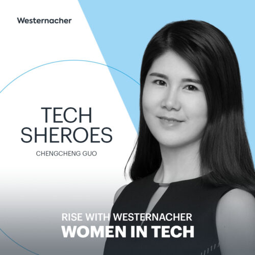 Westernacher Views | Westernacher