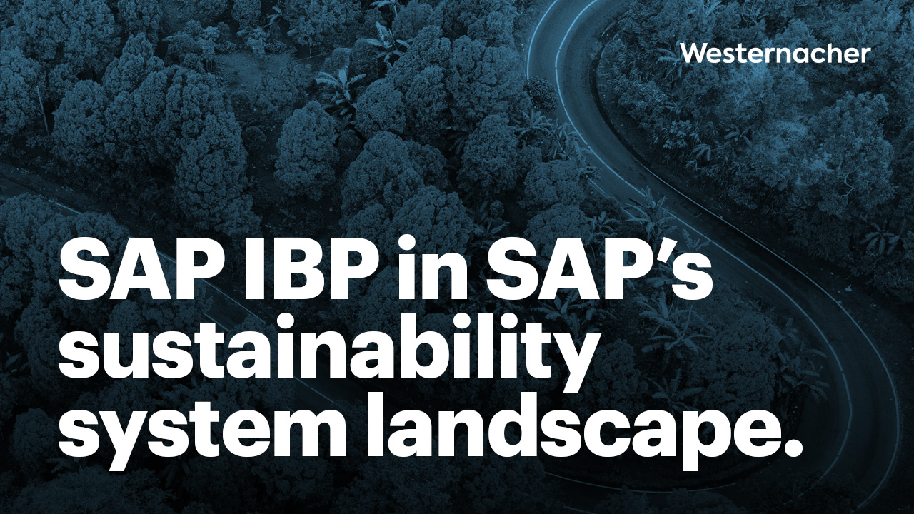 Exploring the role of SAP IBP in SAP’s sustainability system landscape
