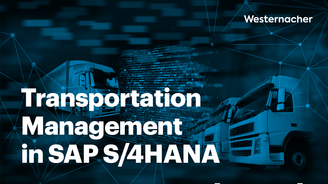 Book: Introducing Transportation Management in SAP S/4HANA.