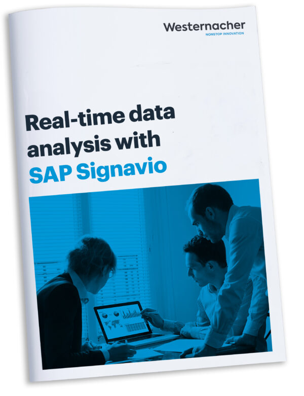 Achieve process excellence through real-time data analysis with SAP ...