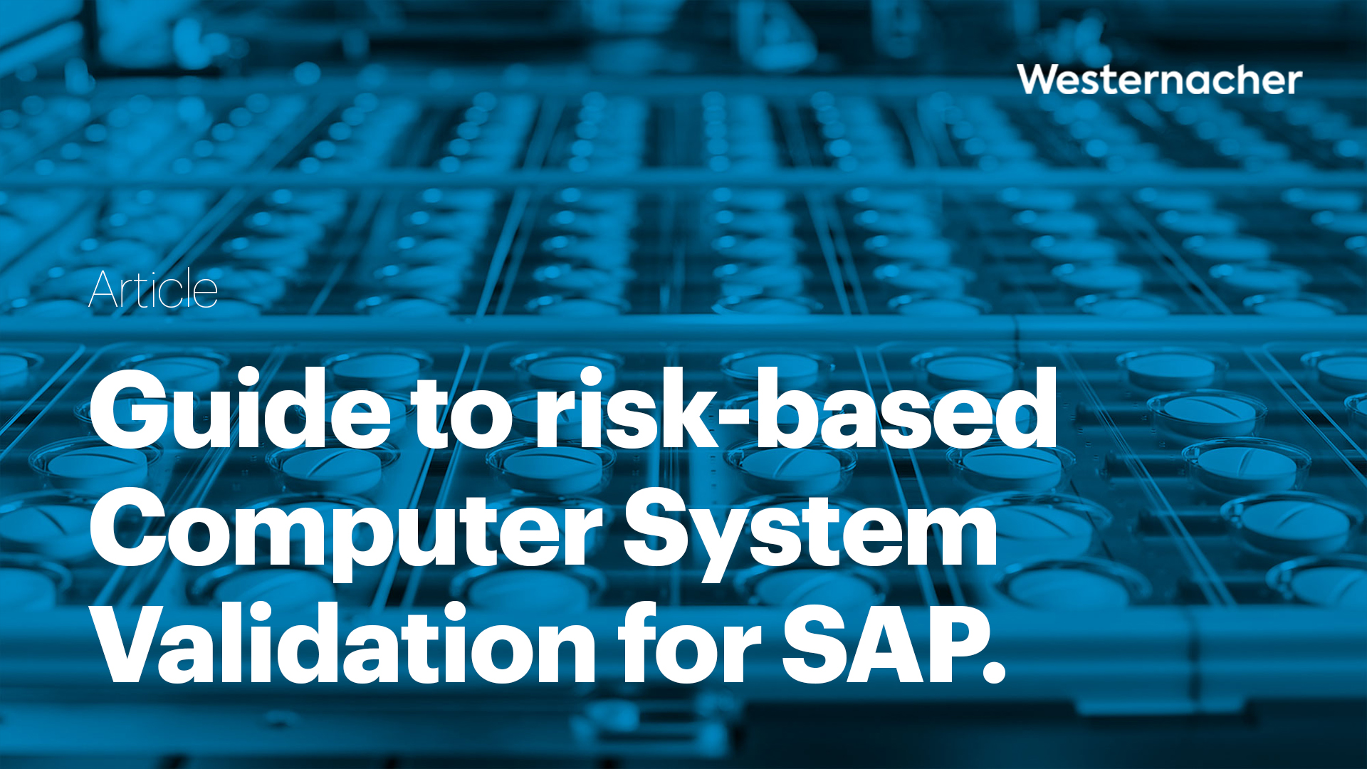 A guide to risk-based Computer System Validation for SAP systems.