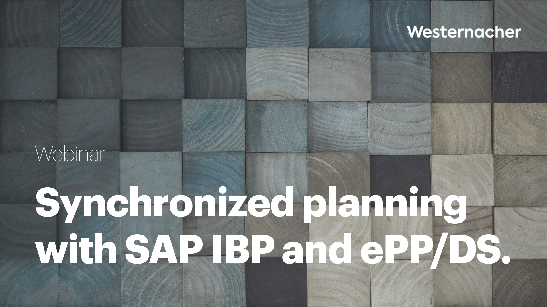 Webinar: Synchronized planning with SAP IBP and ePP/DS.