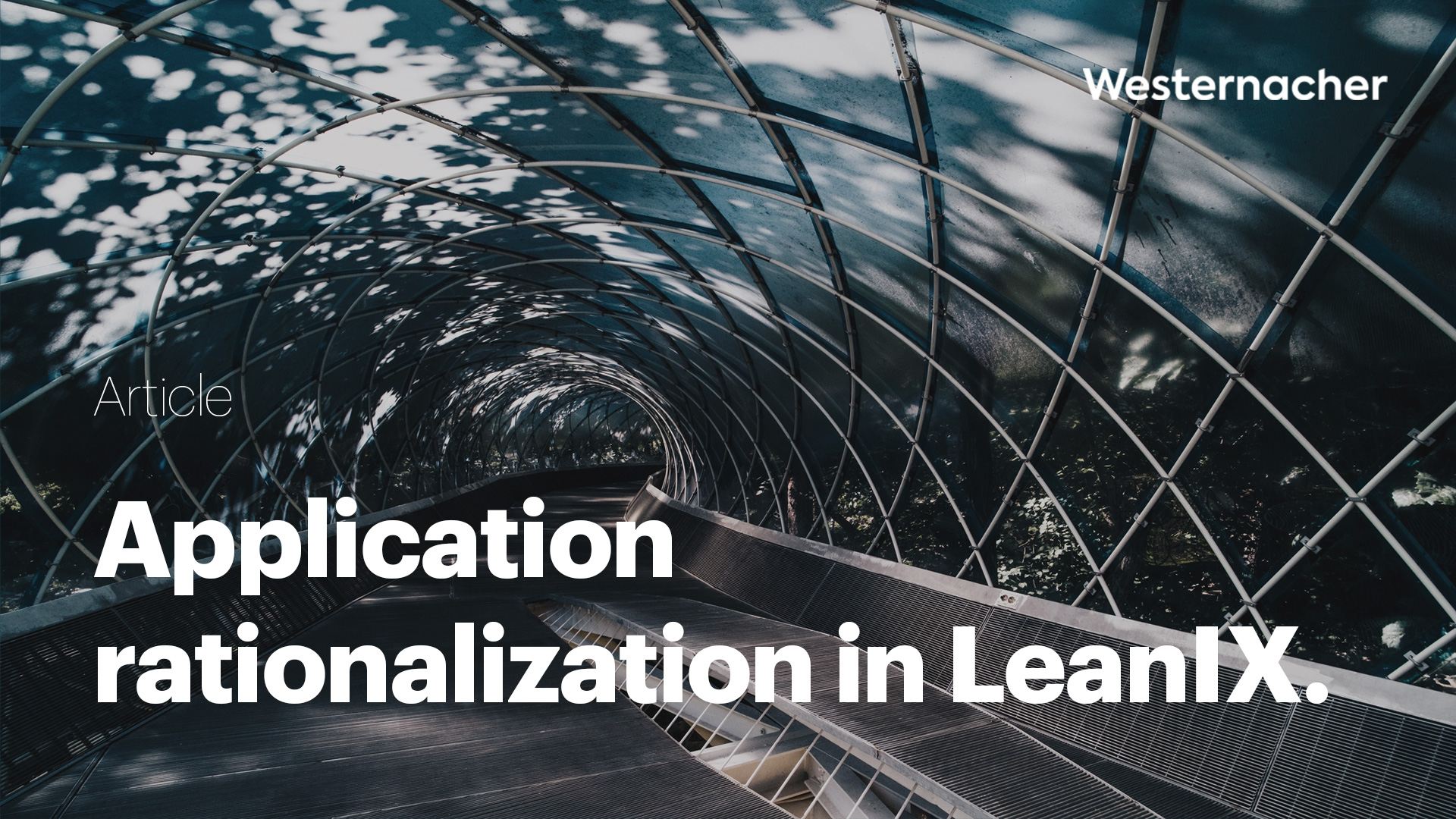 Application rationalization in LeanIX.