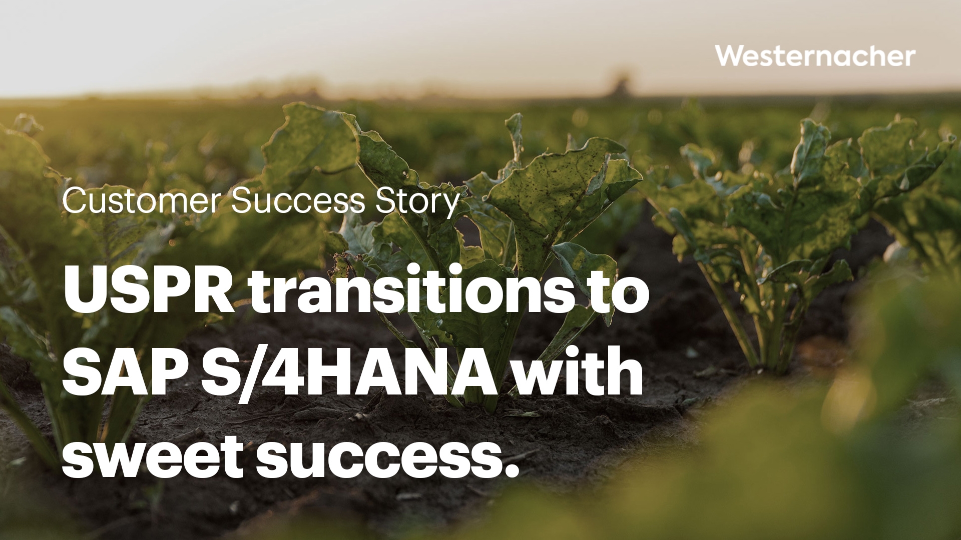USPR transitions to SAP S/4HANA with sweet success.